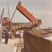 Modelbrouwers.nl modelbouw • Toon onderwerp - Bouwverslagen DAF 2200 A ...