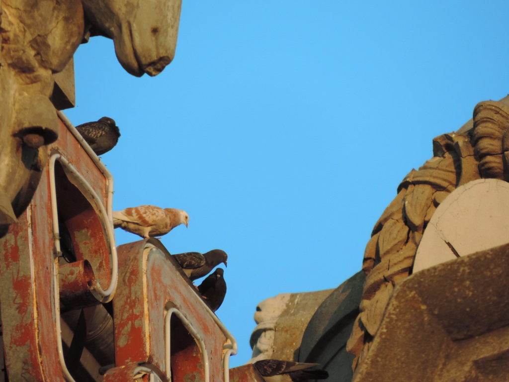 FALEZA - Art Nouveau? | Page 9 | SkyscraperCity Forum