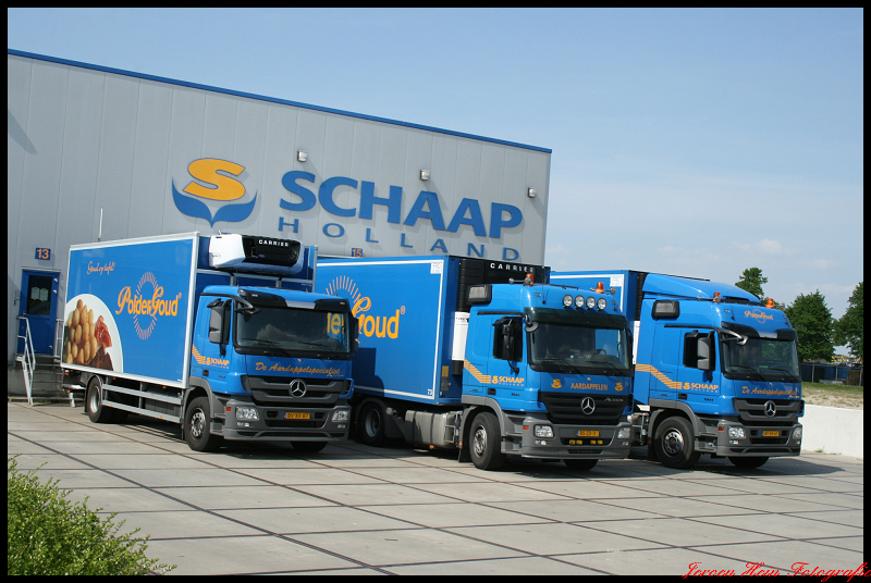 Schaap - Biddinghuizen - Transportfotos.nl